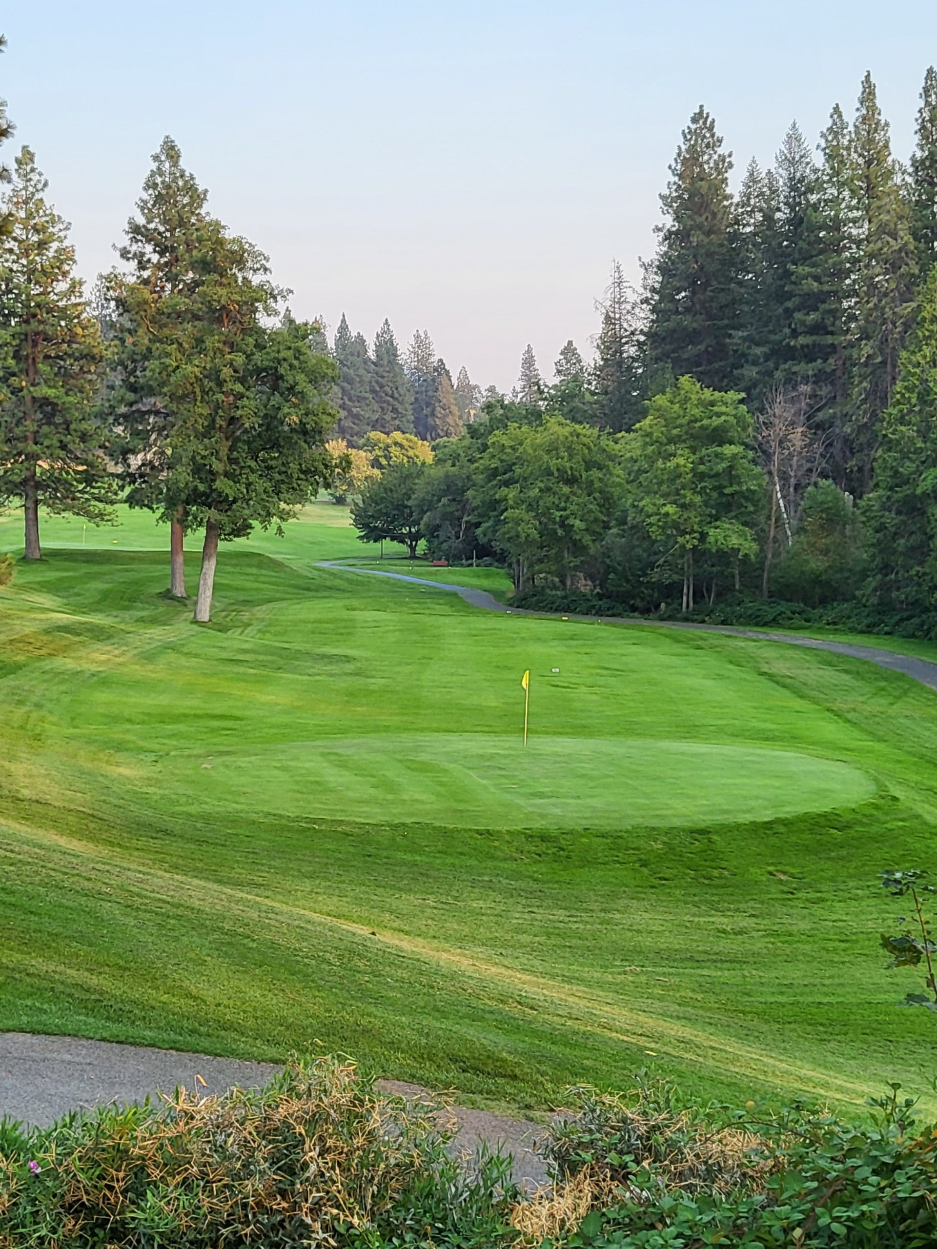 Weed Golf Club
